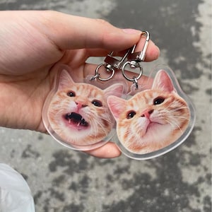 Custom Cat Keychain, Dog Keychain, Pet Keychain, Personalized Pet Photo ...