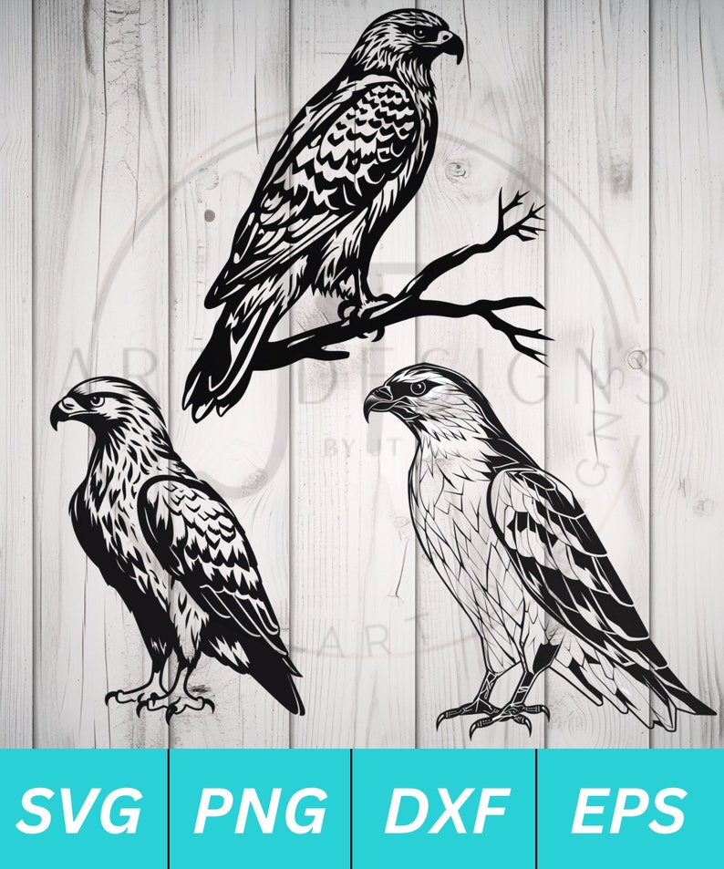Hawk SVG for Cricut Silhouette Etc. SVG PNG Dxf Eps Files Included - Etsy