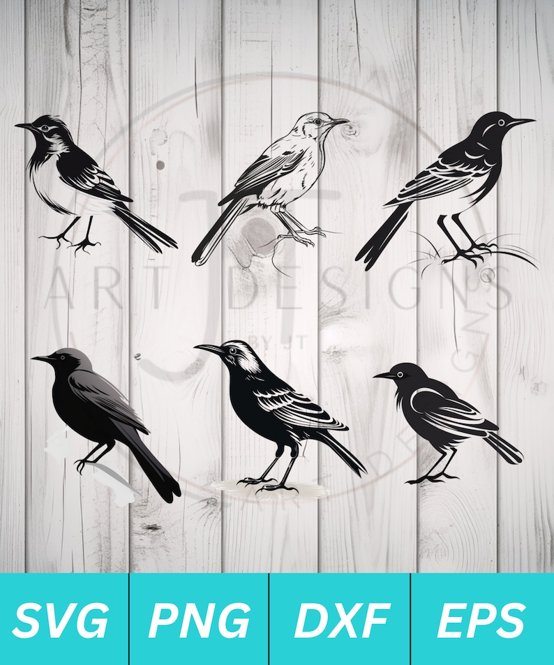Mockingbird SVG Bundle for Cricut Silhouette Etc. SVG PNG Dxf Eps ...