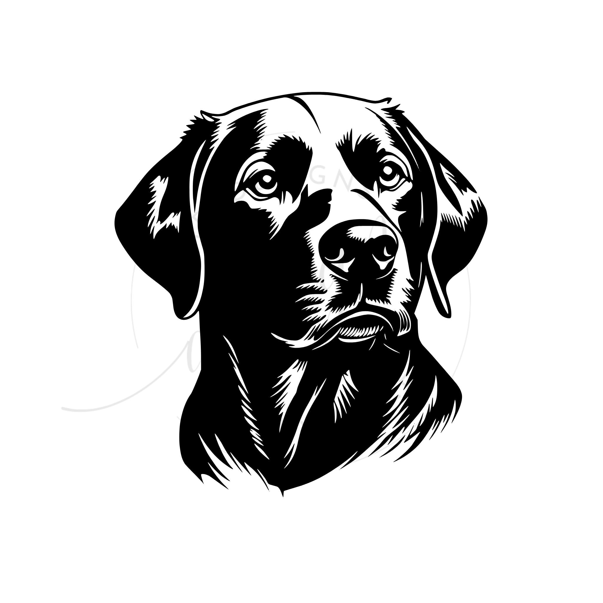 Labrador Retriever Head SVG Dog Clipart SVG Files for Cricut - Etsy