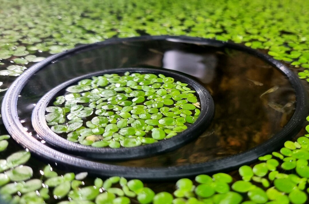 Circular Aquarium Floating Plant Window Black Non-toxic - Etsy