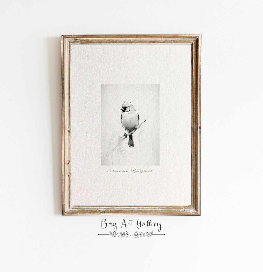 Bird Painting | Bird Sketch | Digital Art Print | Neutral Bird Art ...