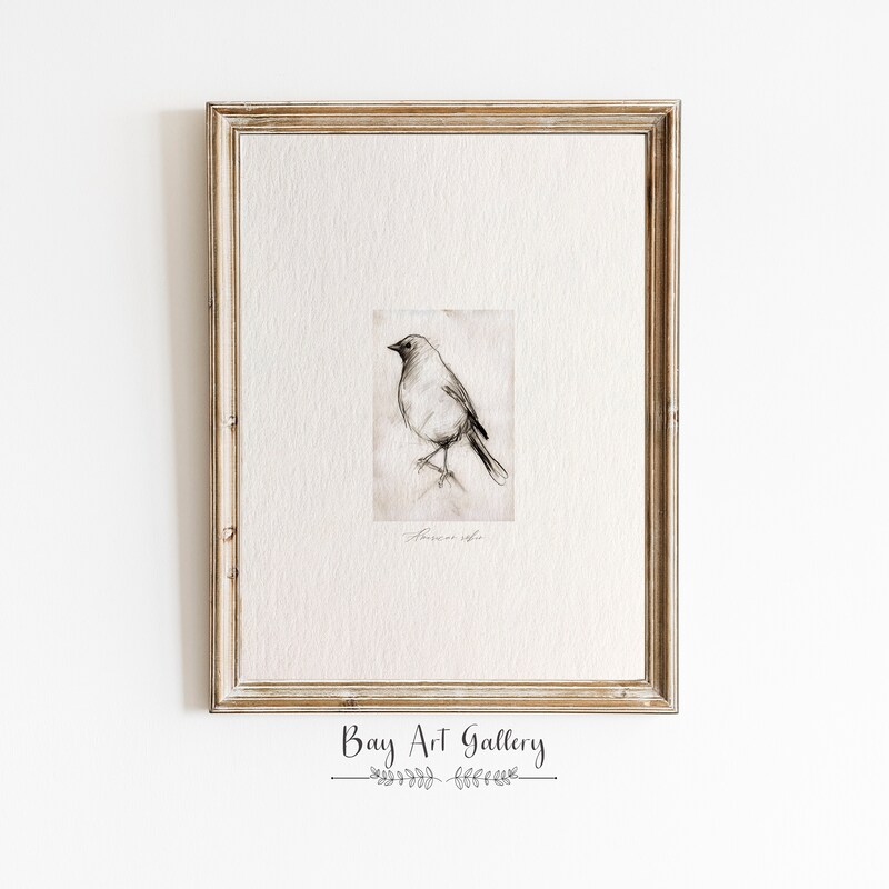 Framed Robin Bird Print - Etsy