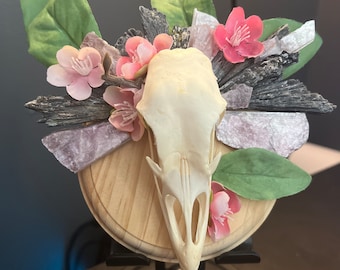 Turkey Skull - Etsy