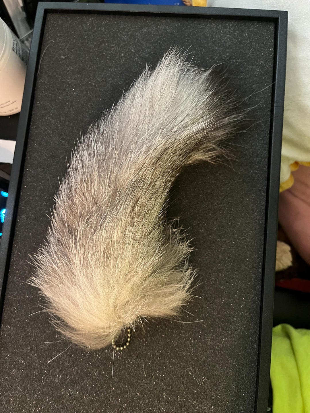 Real Fox Tail Keychain - Etsy