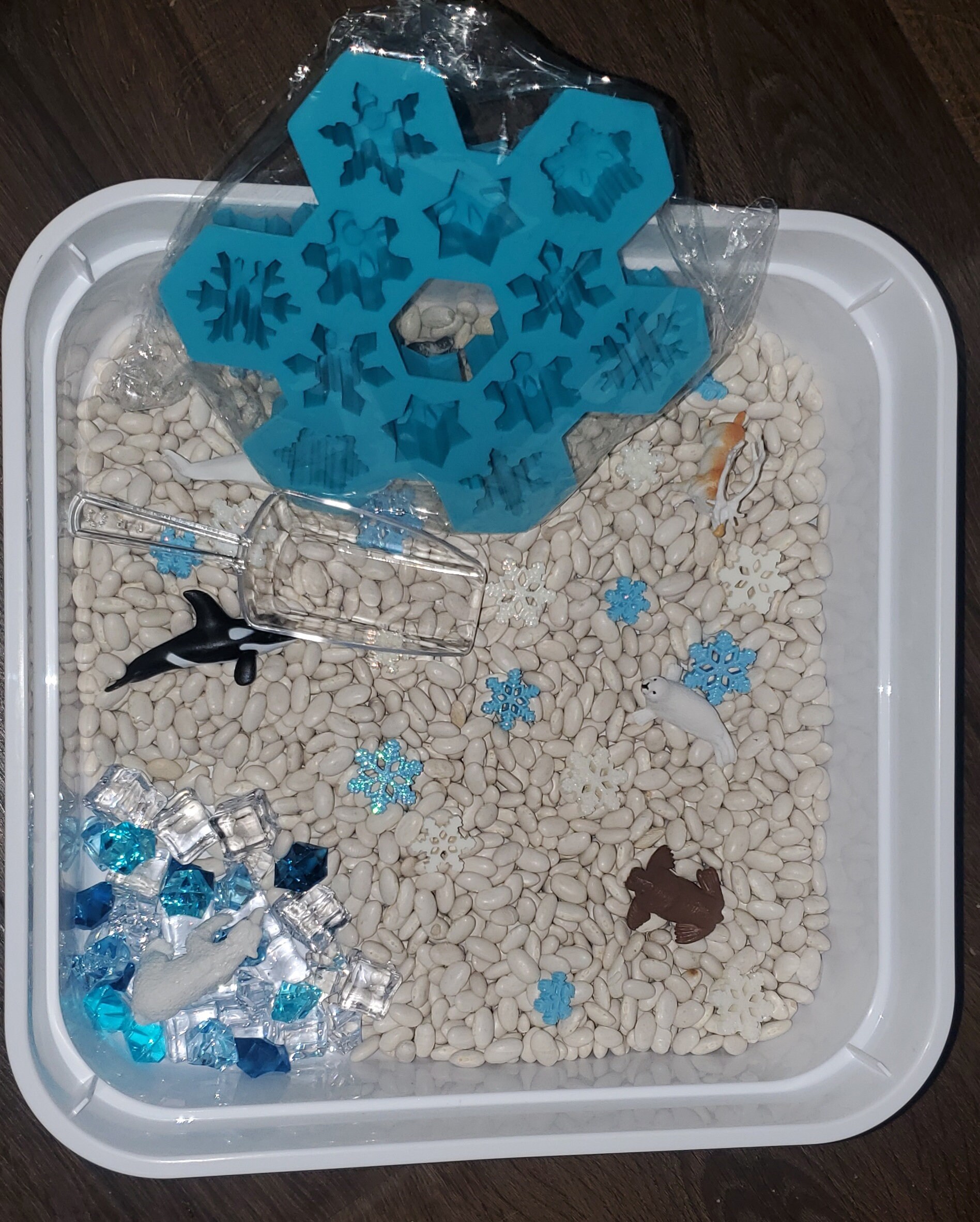 Arctic Polar Sensory Bin - Etsy