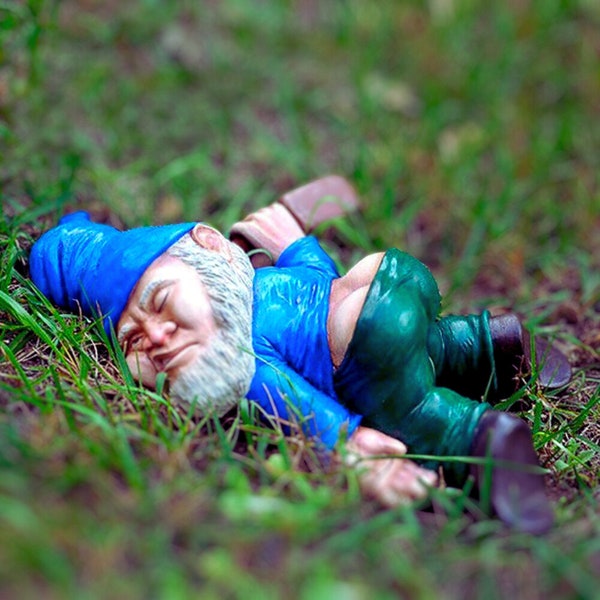 Rude Garden Gnomes - Etsy