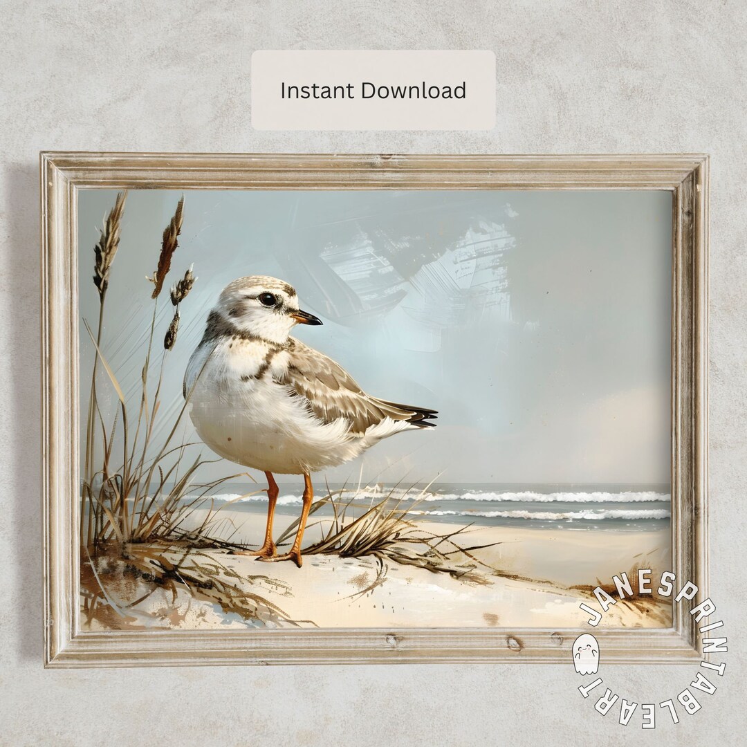 Cute Piping Plover on the Beach Printable Wall Art, Neutral Coastal ...