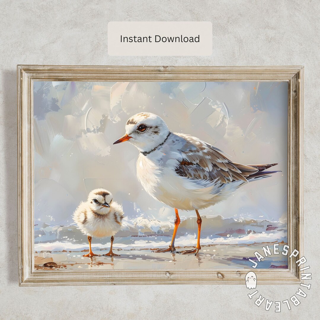 Piping Plover and Its Chick Printable Wall Art, Cute Coastal Birds ...