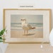 Seagull Portrait Printable Wall Art, Coastal Aesthetic Beach House ...