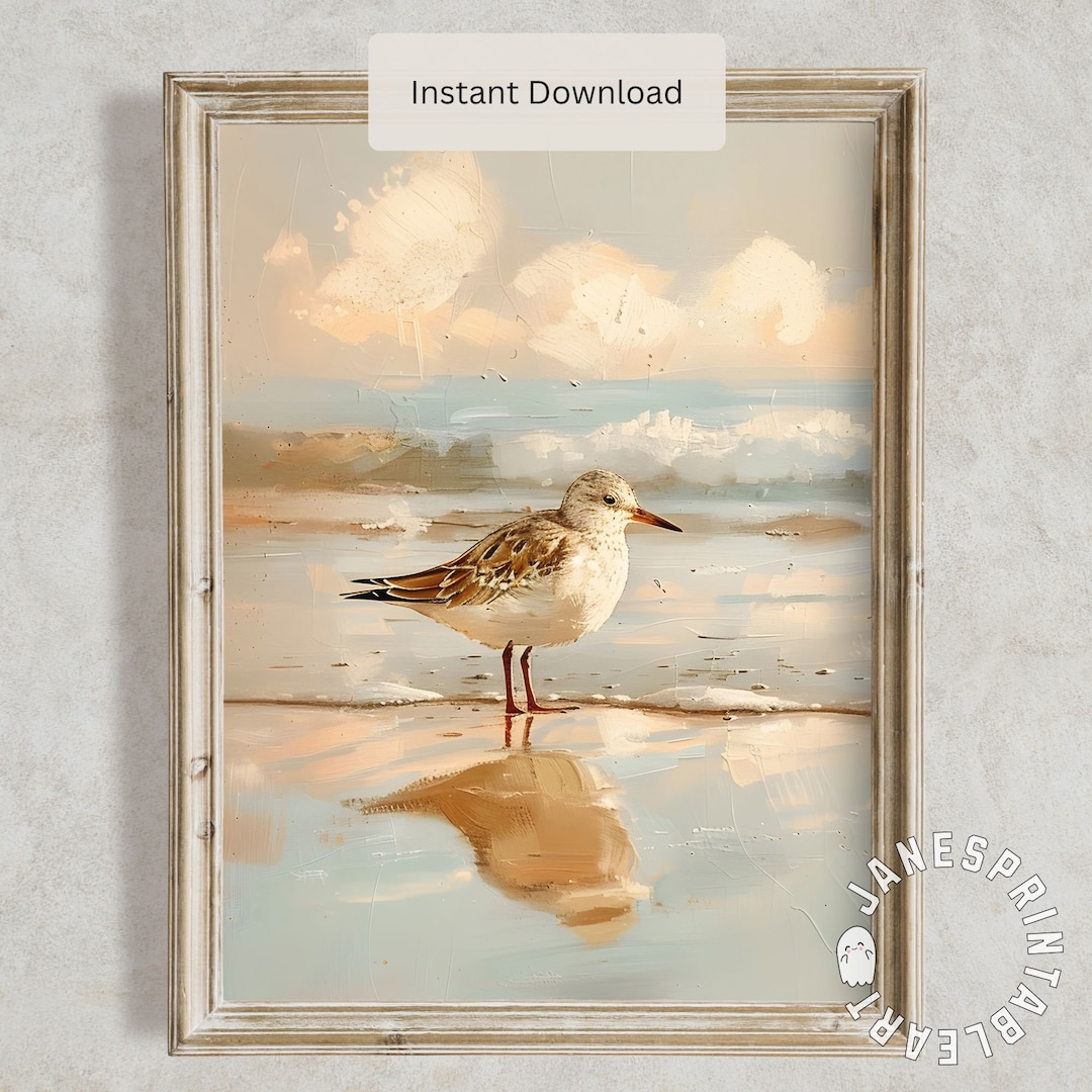 Sea Bird Downloadable Art Costal Print Vintage, Sandpiper Bird Digital ...