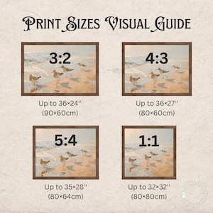 Ocean Animals and Shoreline Birds Gallery Wall Art, Nautical Set of 12 ...