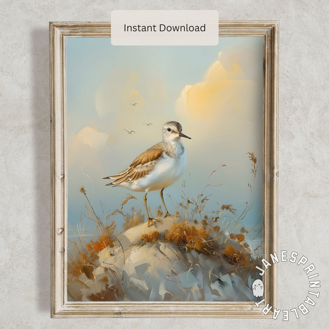 Sandpiper Bird on the Beach Printable Wall Art, Seashore Bird Print ...