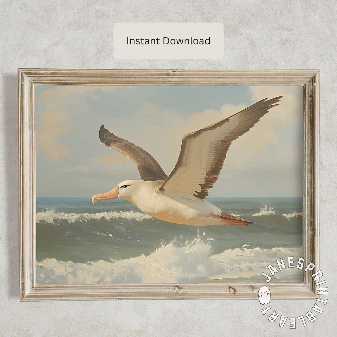Albatross Poster Beach Art Printable | Vintage Albatross Print Digital ...