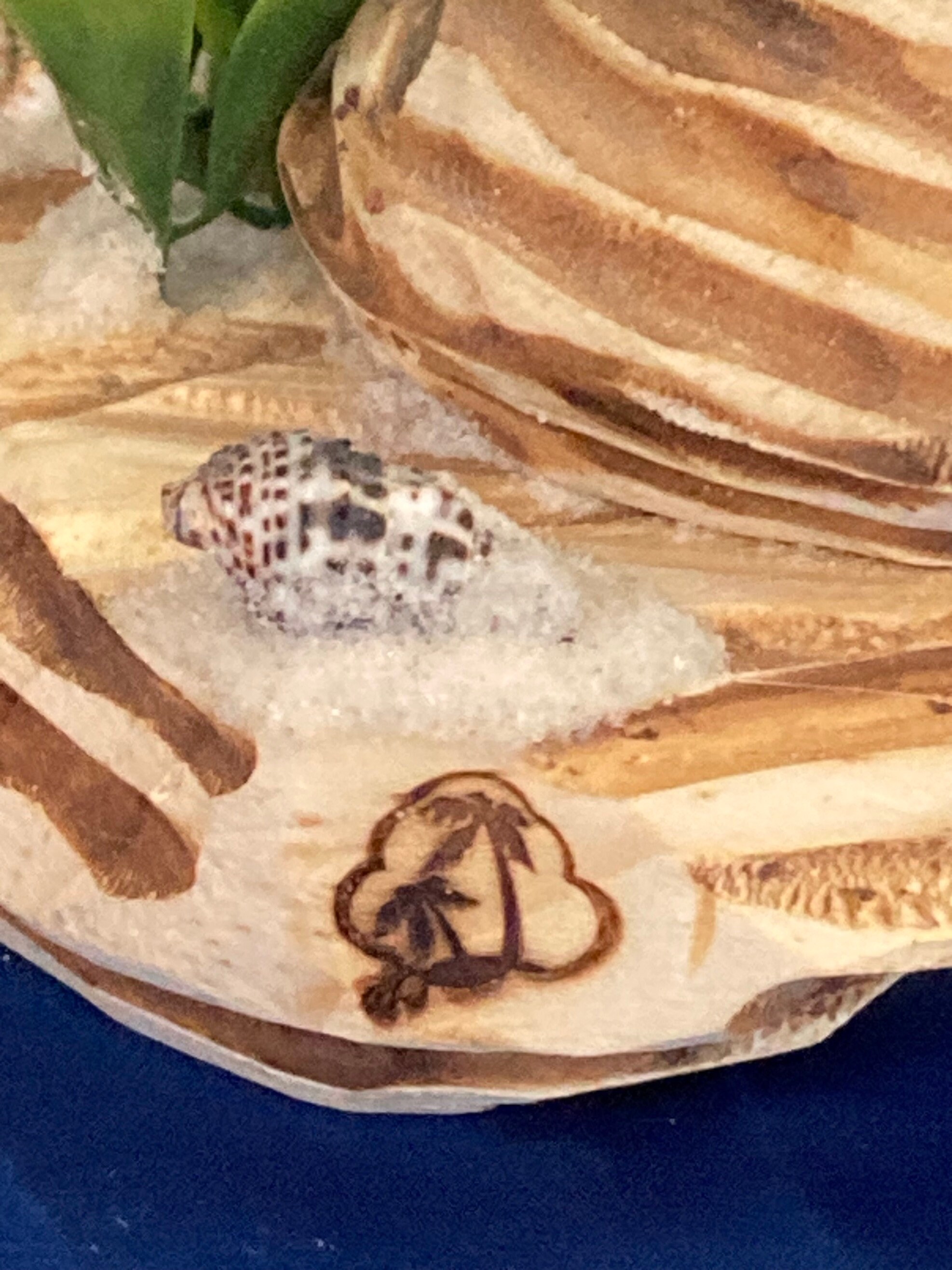 Fun in the Sun... BYO Mini Tropical Island With SANDCASTLE, Choice of ...