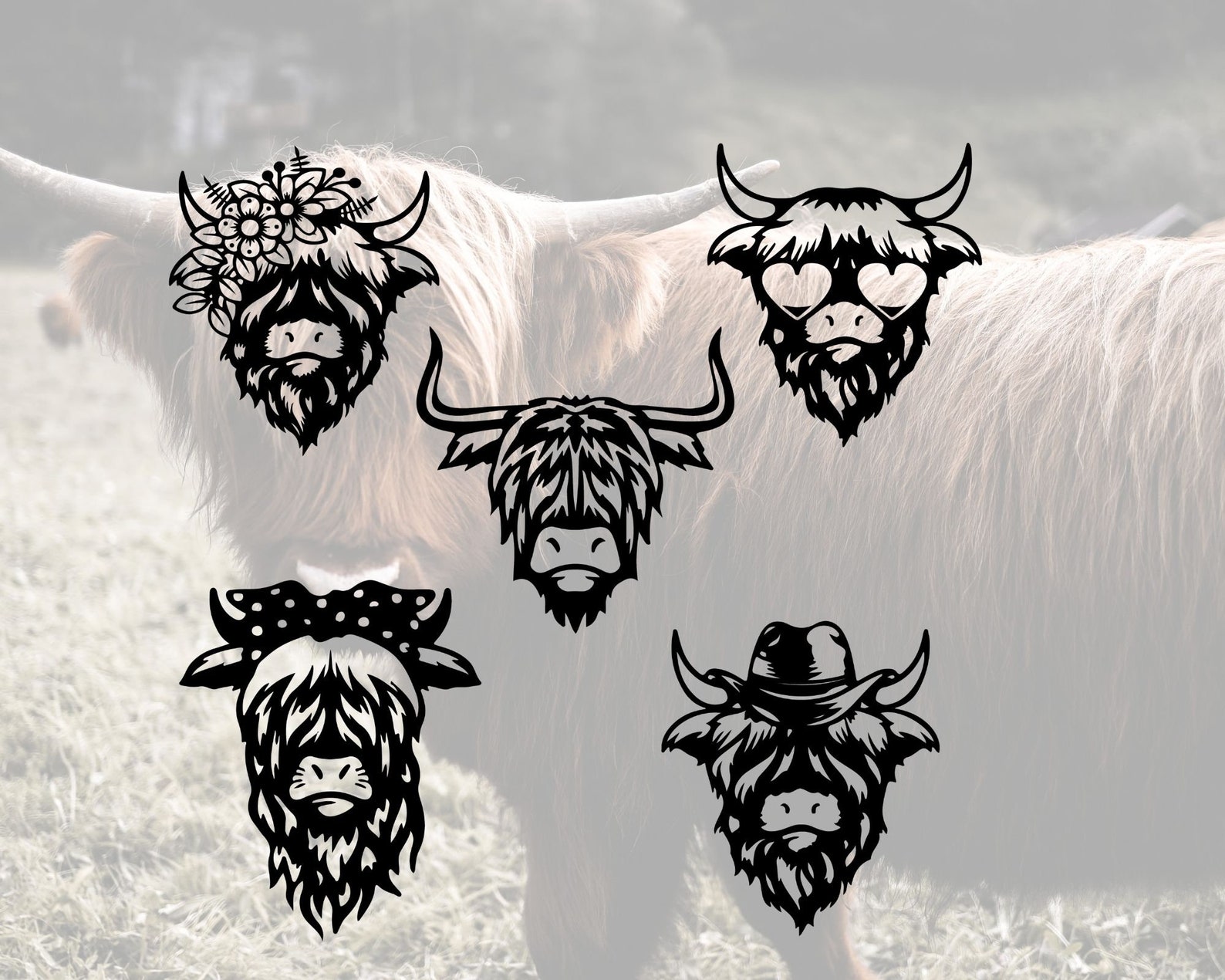 Highland Cow Svg Bundle 5 Pieces Cuttable Design SVG PNG vdesigns ...