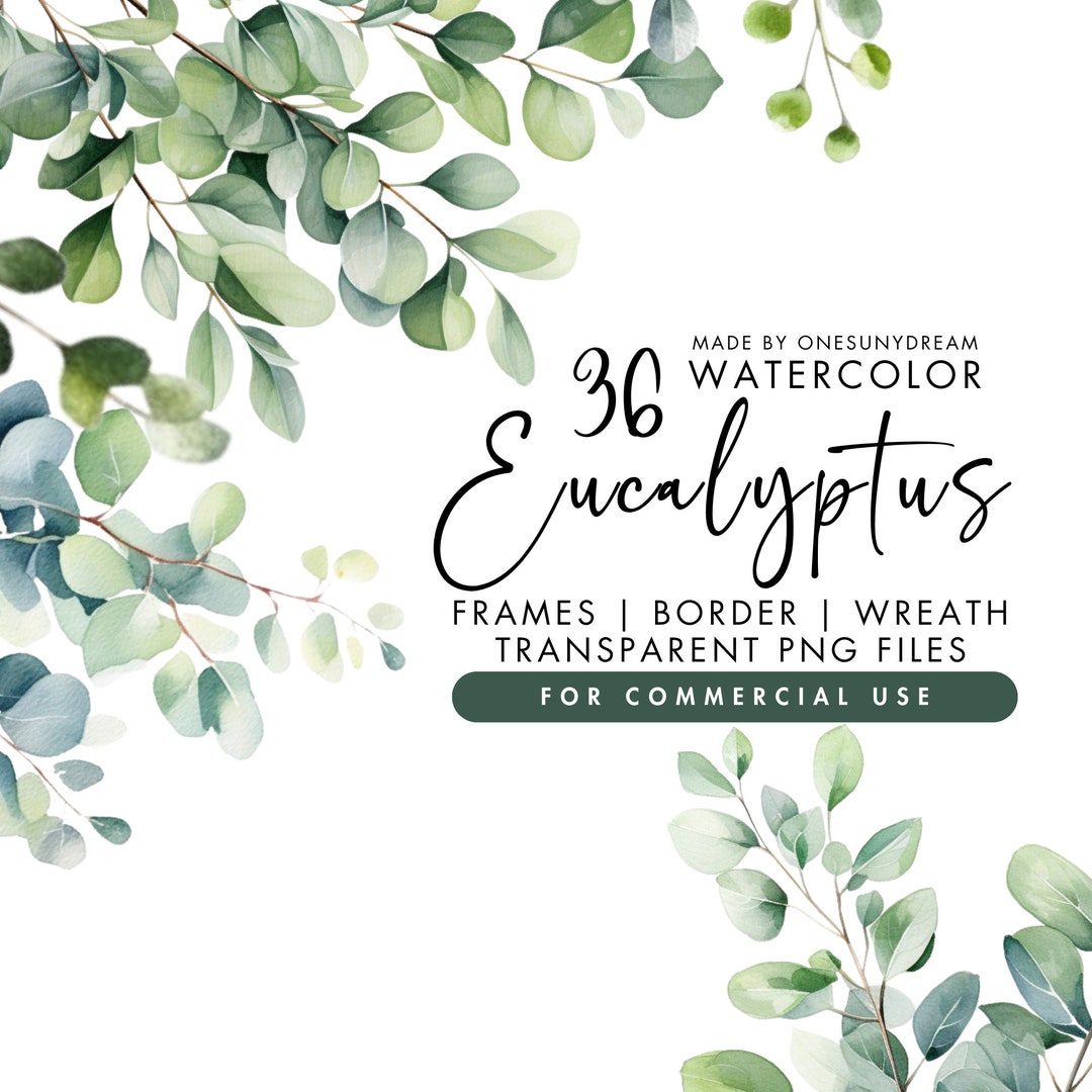 Watercolor Eucalyptus Clipart PNG Set, 36 Eucalyptus Greenery Clipart ...