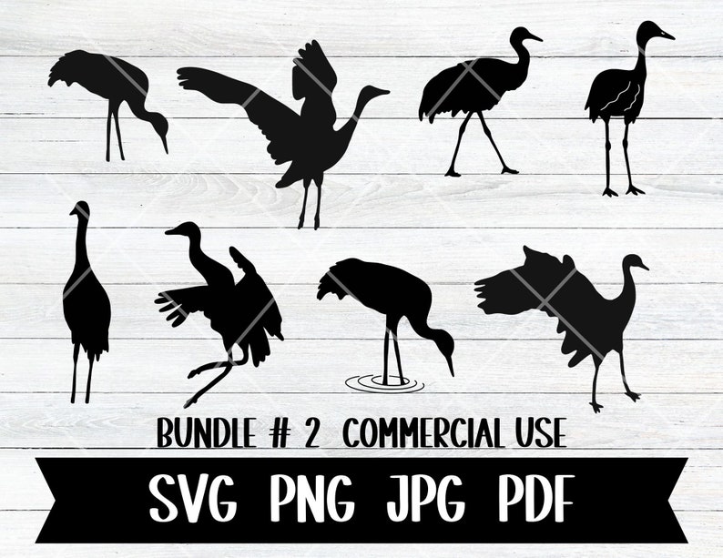 Sandhill Crane Bird SVG Bundle, Instant Download, PNG, JPG, Pdf - Etsy