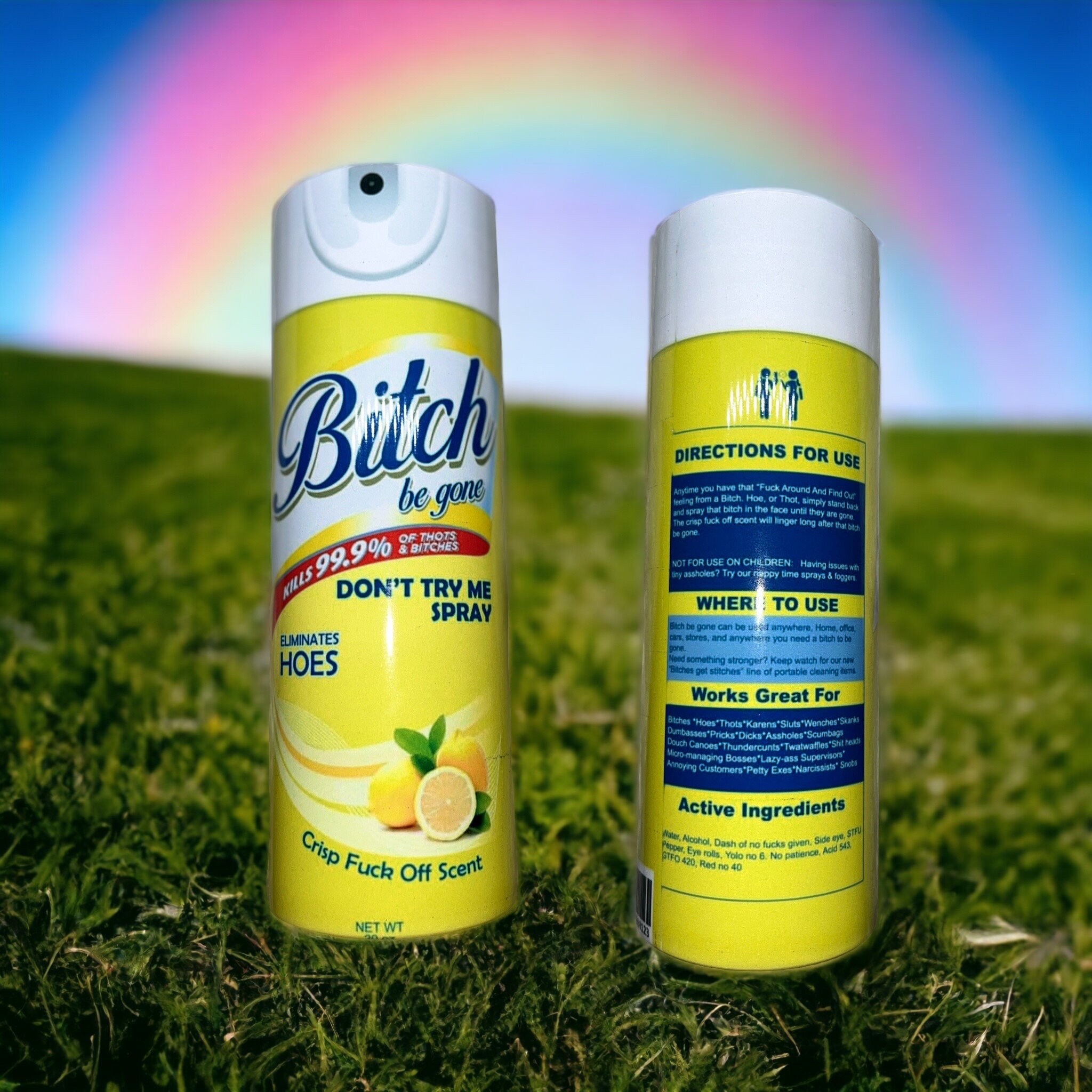 20oz ”b*tch Be Gone Spray” Themed Tumbler. (adult Language) - Etsy