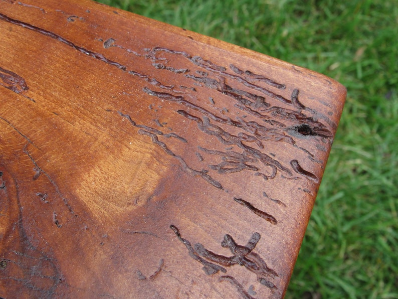 Barn Beam Table Wormy Chestnut From 1830s Ohio Barn, Hand Hewn Wormy ...