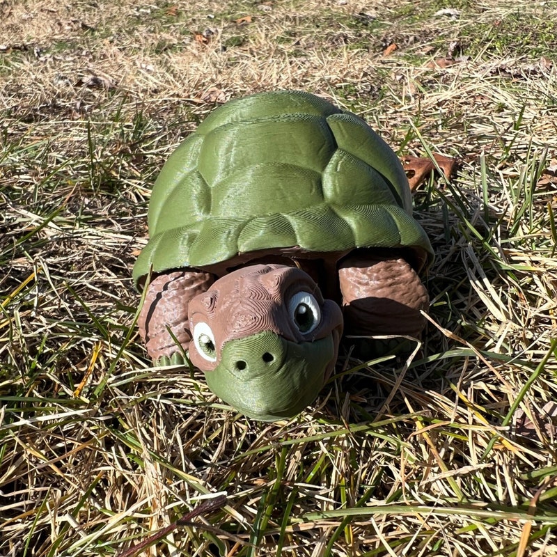 3d Tortoise - Etsy