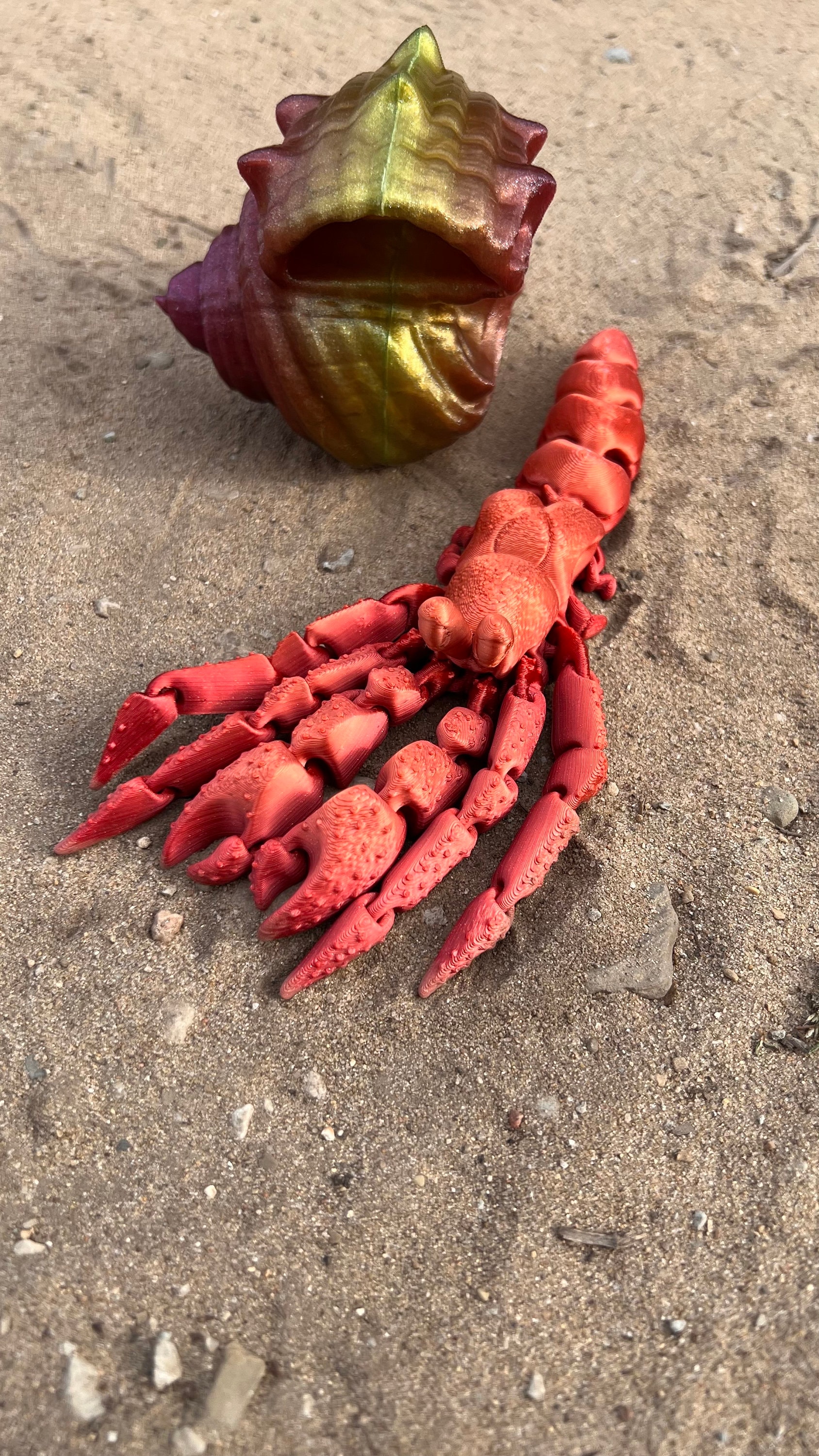 Hermes the 3D Printed Hermit Crab - Etsy Australia