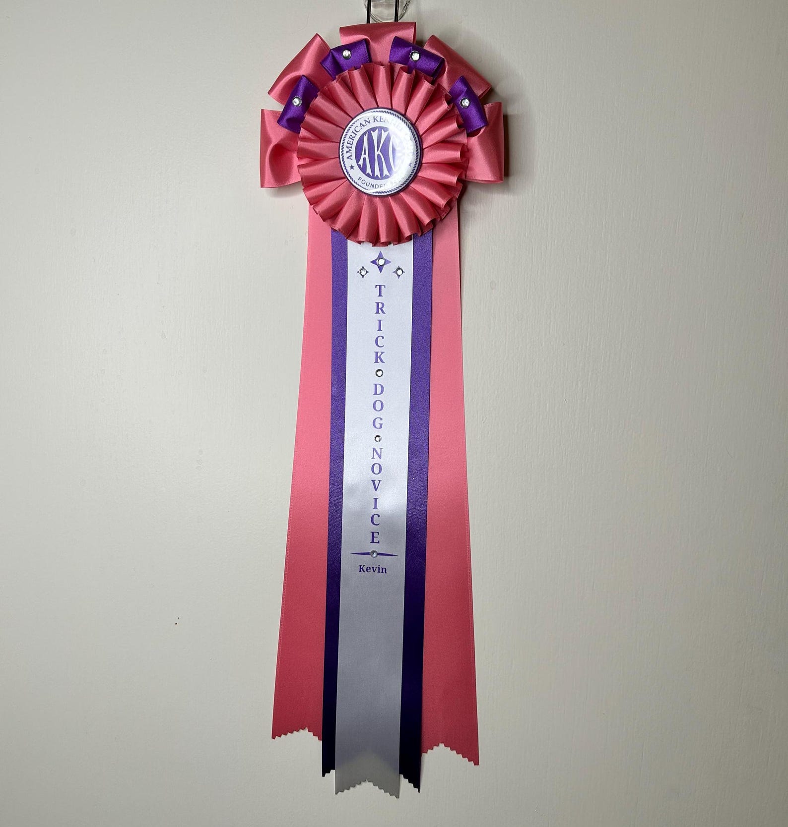 Personalized Ruffle Rosette Award Ribbon: Custom Pet Show Prize - Etsy