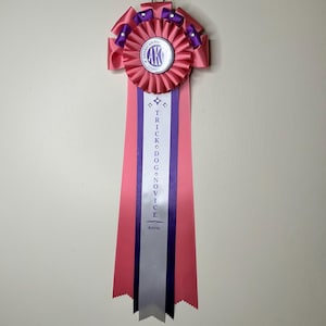 Personalized Ruffle Rosette Award Ribbon: Custom Pet Show Prize - Etsy