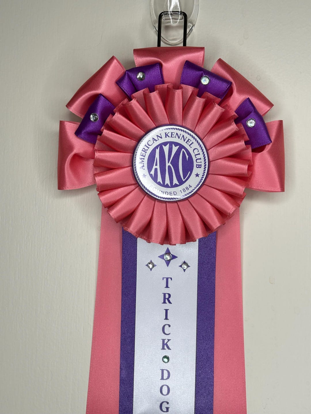 Personalized Ruffle Rosette Award Ribbon: Custom Pet Show Prize - Etsy