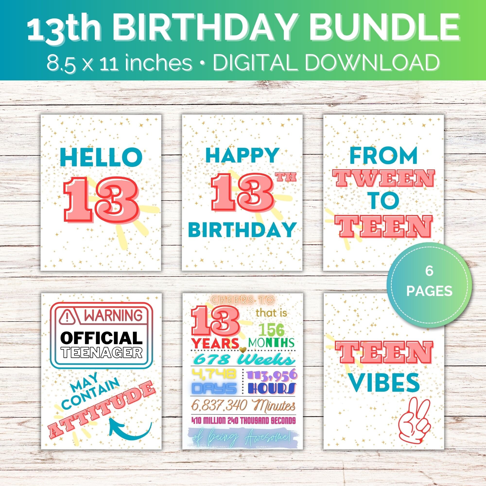 13th Birthday Sign Bundle | Happy 13th Birthday | Hello 13 | Cheers to ...
