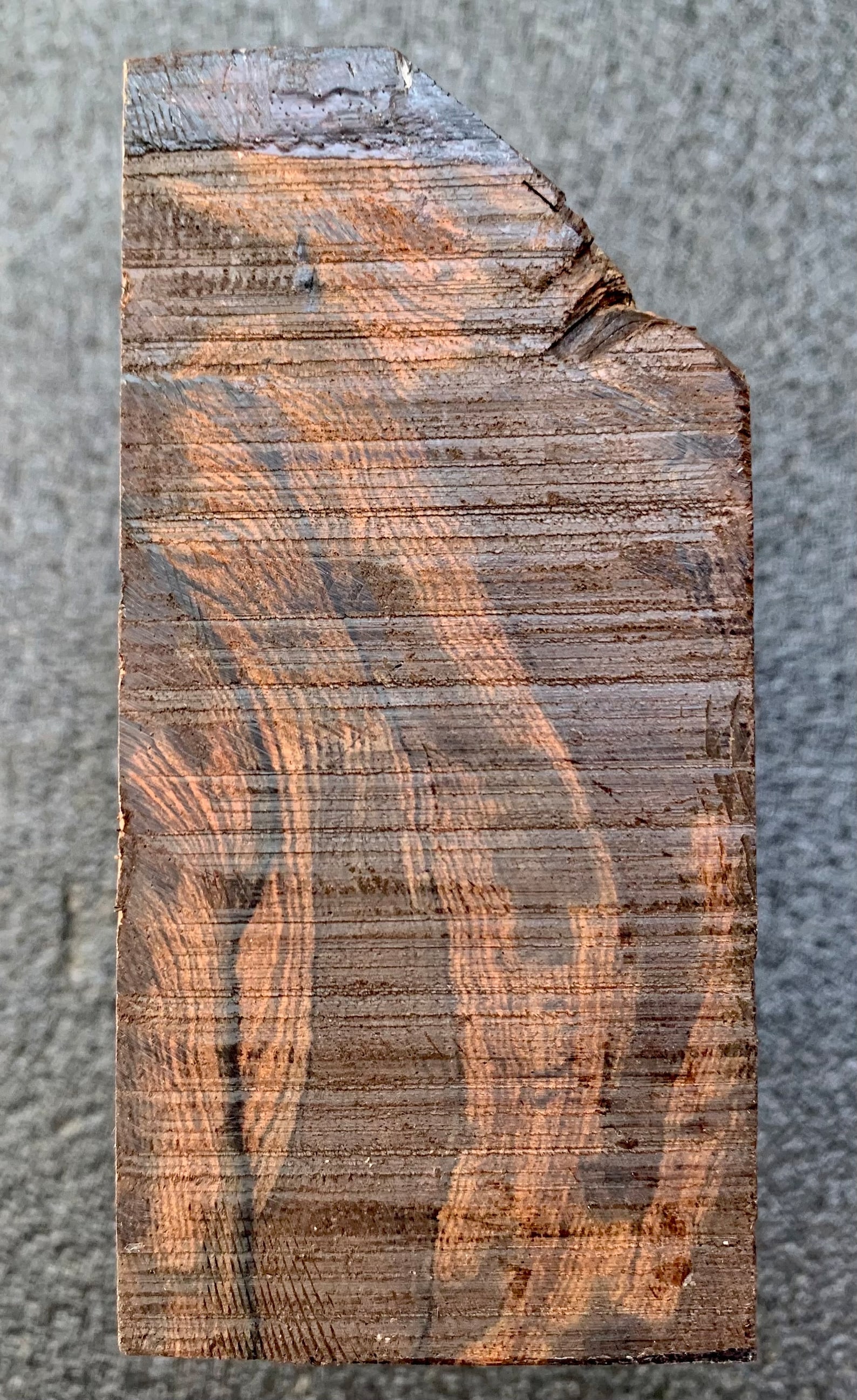 Brazilian Rosewood dalbergia Nigra Wood Blank 7 - Etsy