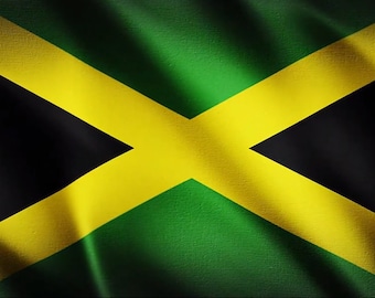 Haitian Flag Waving in the Background! Upgrade Your Video Calls With ...