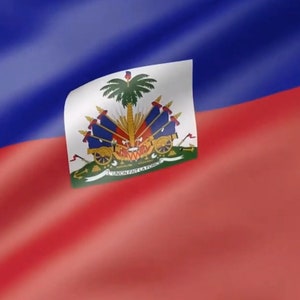 Haitian Flag Waving in the Background! Upgrade Your Video Calls With ...