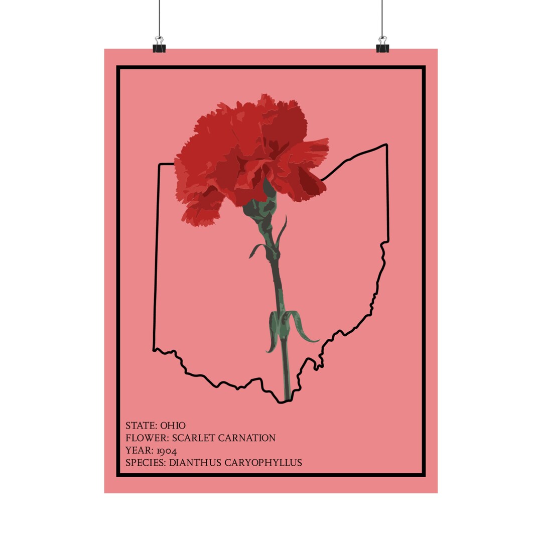 Ohio Carnation Print - Ohio State Flower Poster, Birthday Present ...
