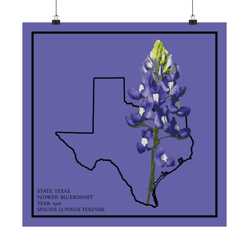 Texas Bluebonnet Art Print: State Flower Poster - Etsy