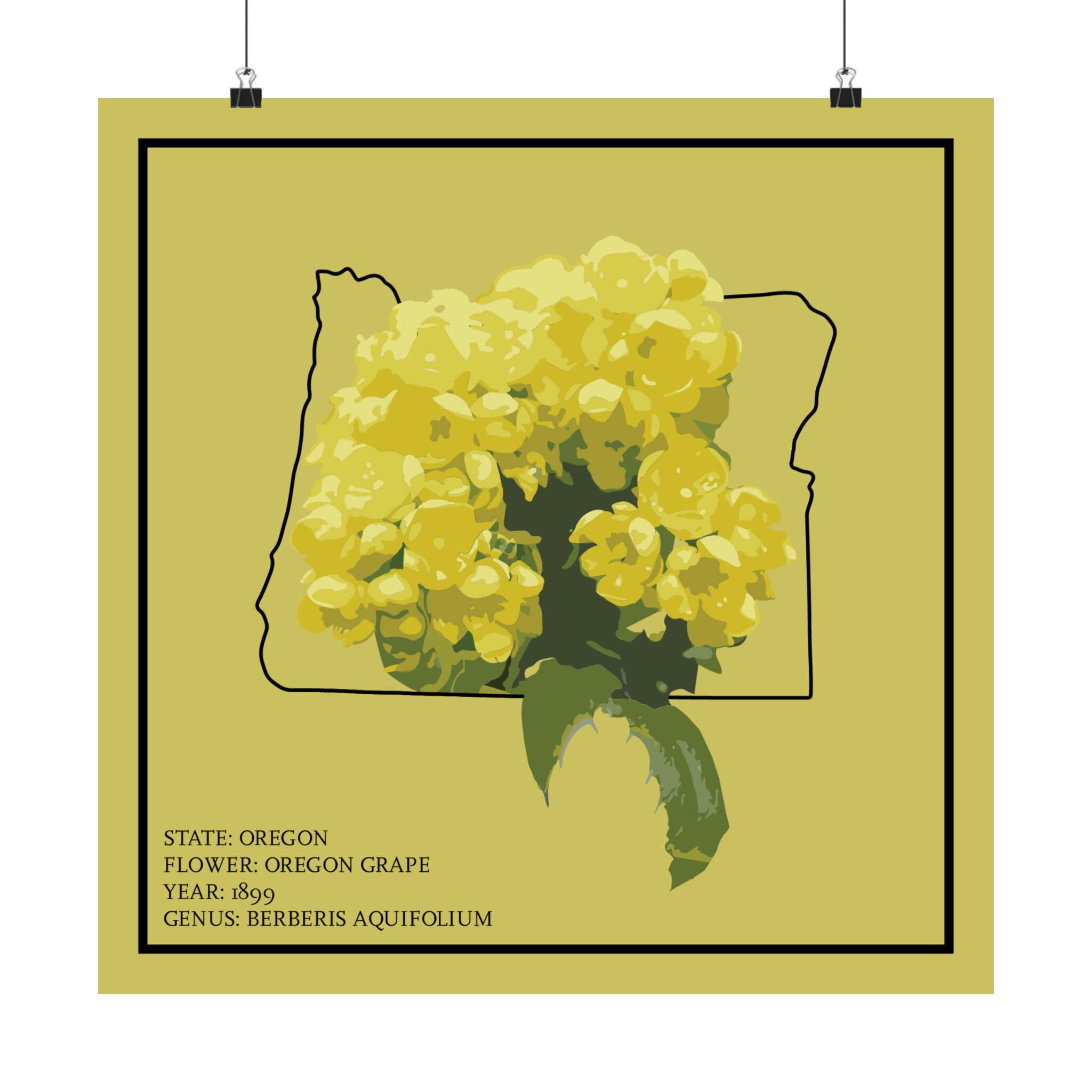 Oregon Grape Print - Oregon State Flower Poster, Birthday Present ...