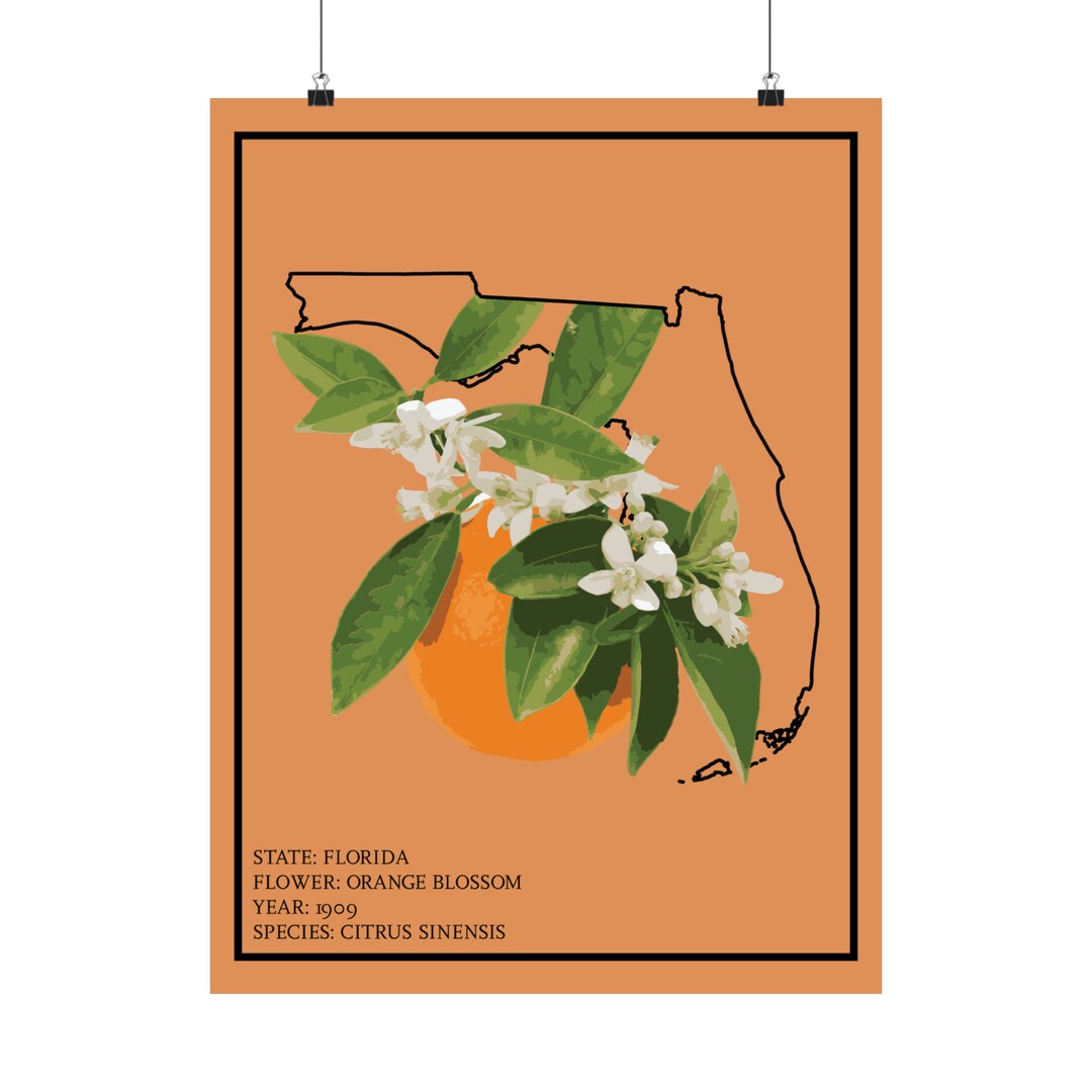 Florida Orange Blossom Print - Florida State Flower Poster, Birthday ...