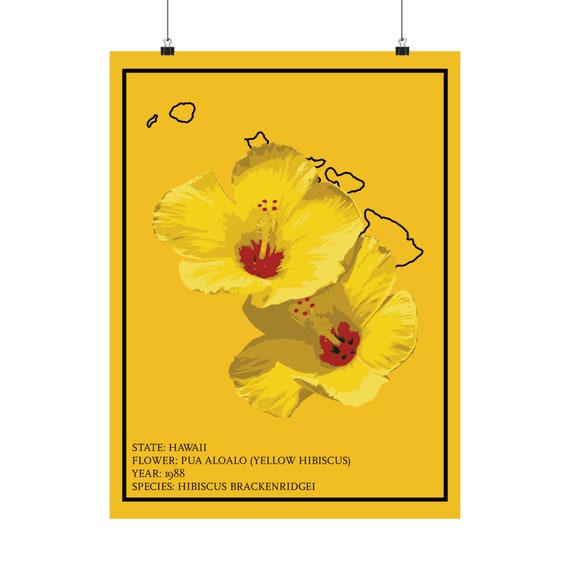 Hibiscus Hawaii State Flower Hawaii State Flower Hibiscus