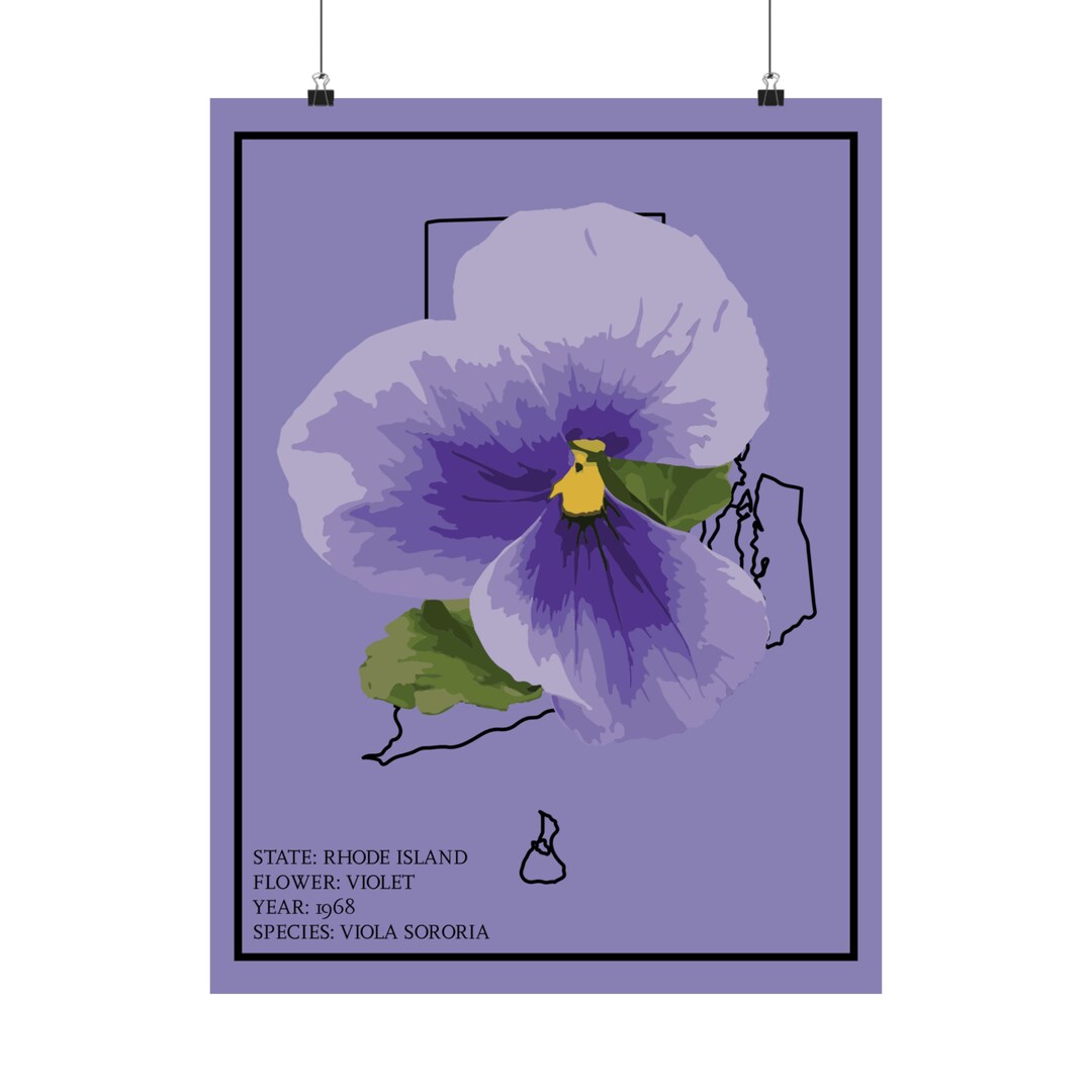 Rhode Island Violet Art Print: State Flower Poster - Etsy