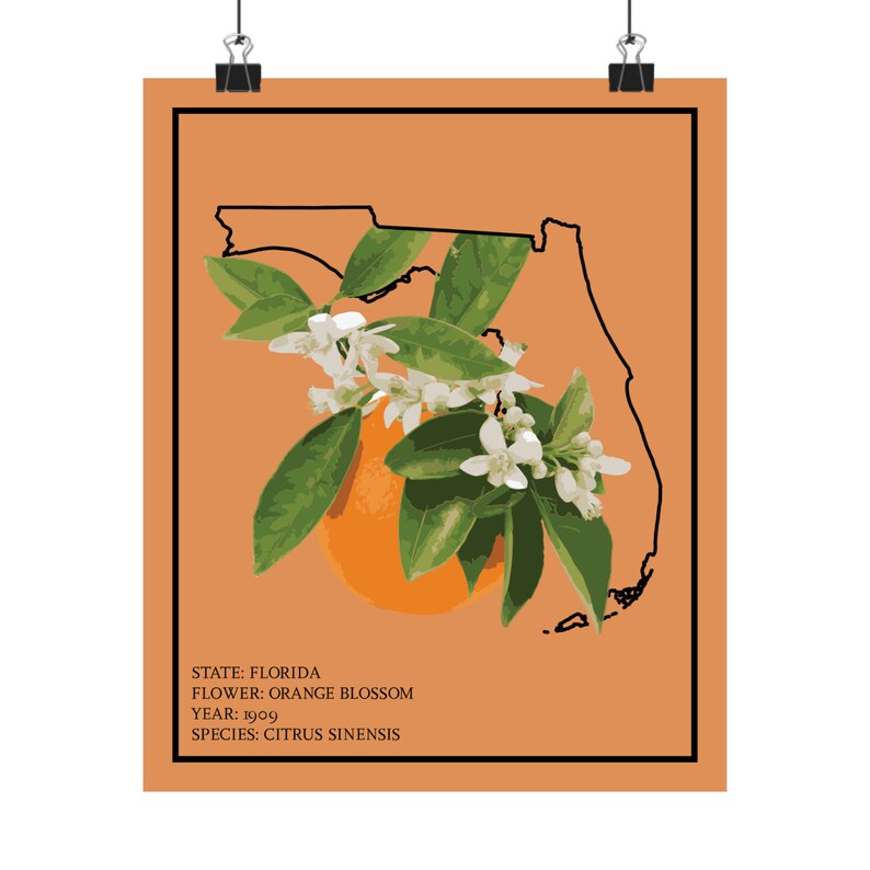 Florida Orange Blossom Print - Florida State Flower Poster, Birthday ...