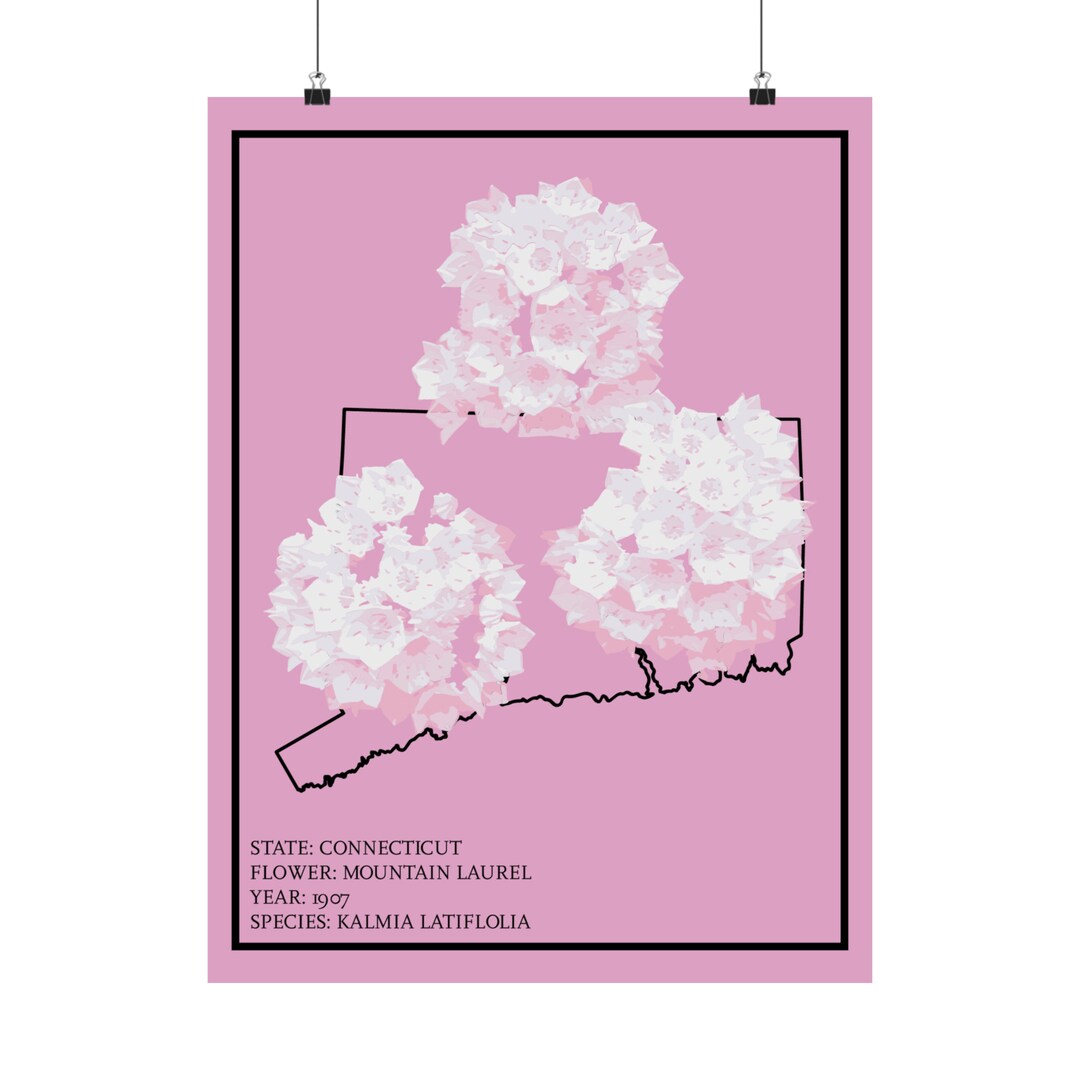 Connecticut Mountain Laurel Art Print: State Flower Poster - Etsy