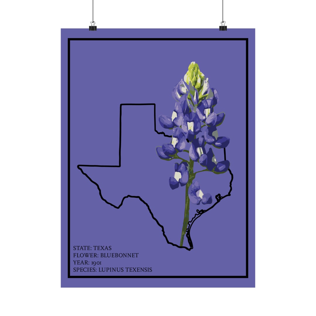 Texas Bluebonnet Art Print: State Flower Poster - Etsy
