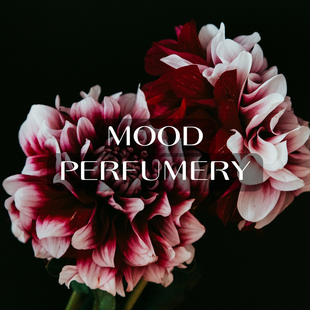 Mood Perfumery / Coming Soon / Niche Perfume / Natural Perfume ...