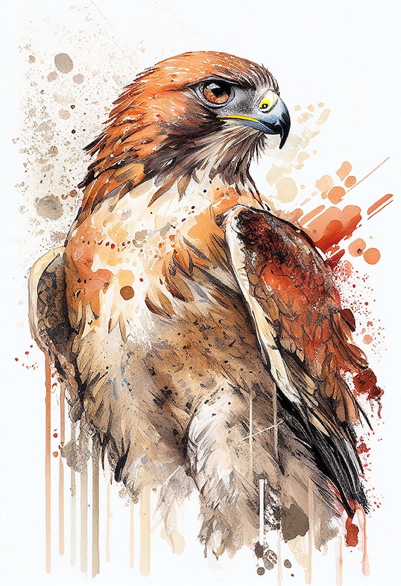 Hawk Painting Watercolor