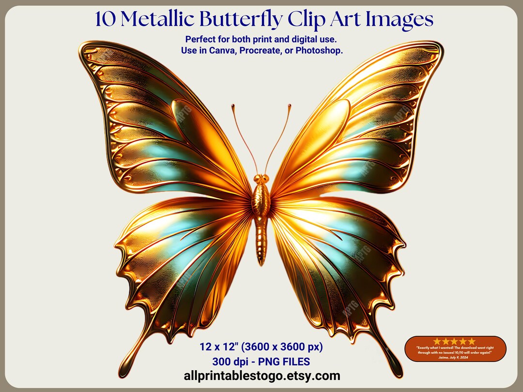 Metallic Butterfly Clip Art: Gold, Silver, Rainbow Pngs (digital ...