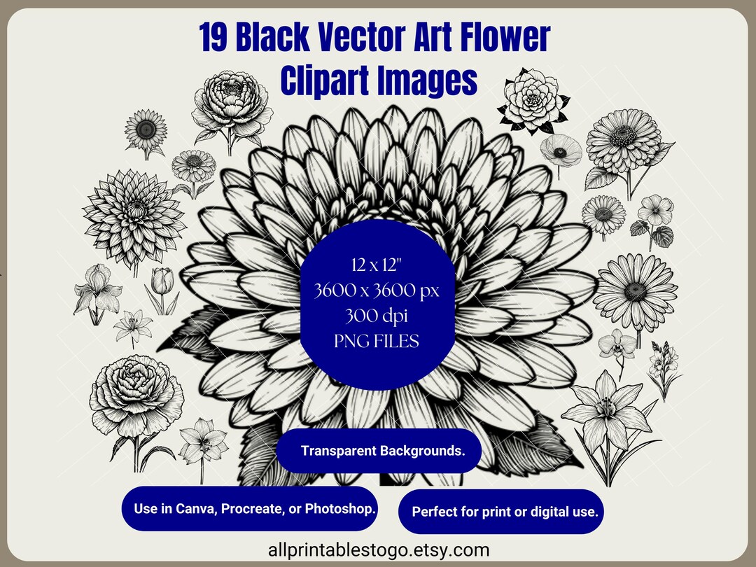 19 Flower Clipart Set, Vector Art, Transparent Background PNG, Paper ...