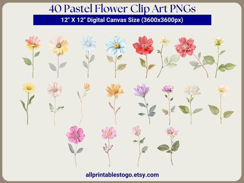 Pastel Flower Clip Art Set – 40 Single Pngs With Transparent Background ...