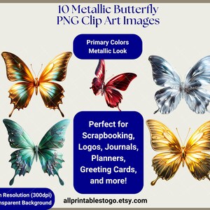 Metallic Butterfly Clip Art: Gold, Silver, Rainbow Pngs (digital ...