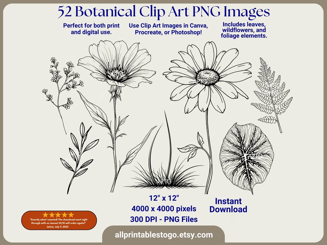 Botanical Clip Art: Wildflowers, Foliage, Leaves (PNG Digital Download ...