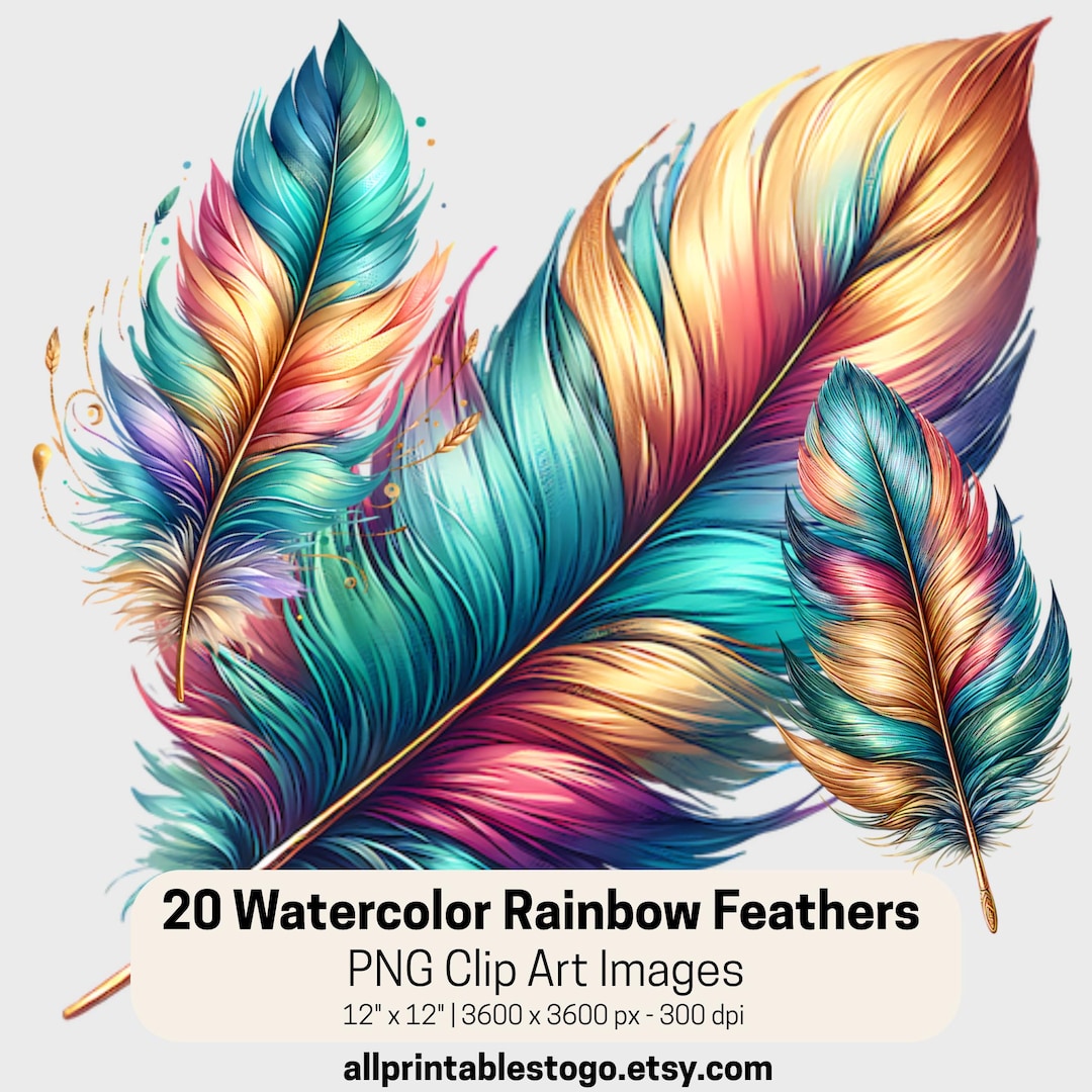 Rainbow Feather Clip Art – Rainbow Colors - 20 High-res Pngs for ...